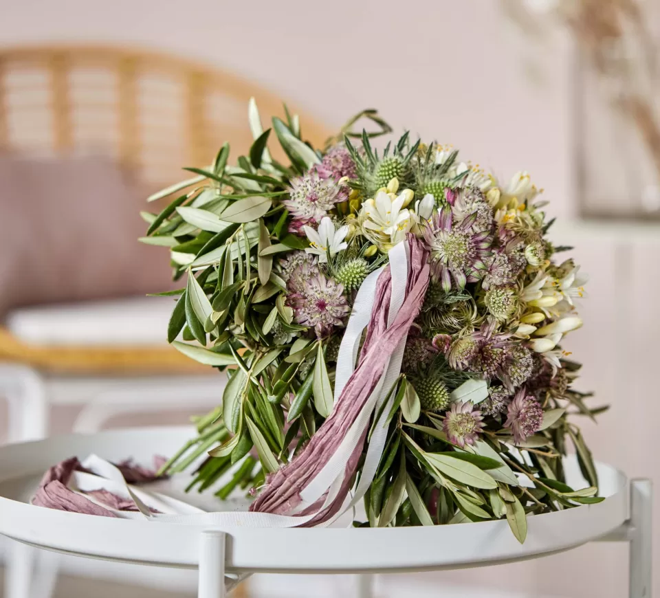 Astrantia collection | Marginpar